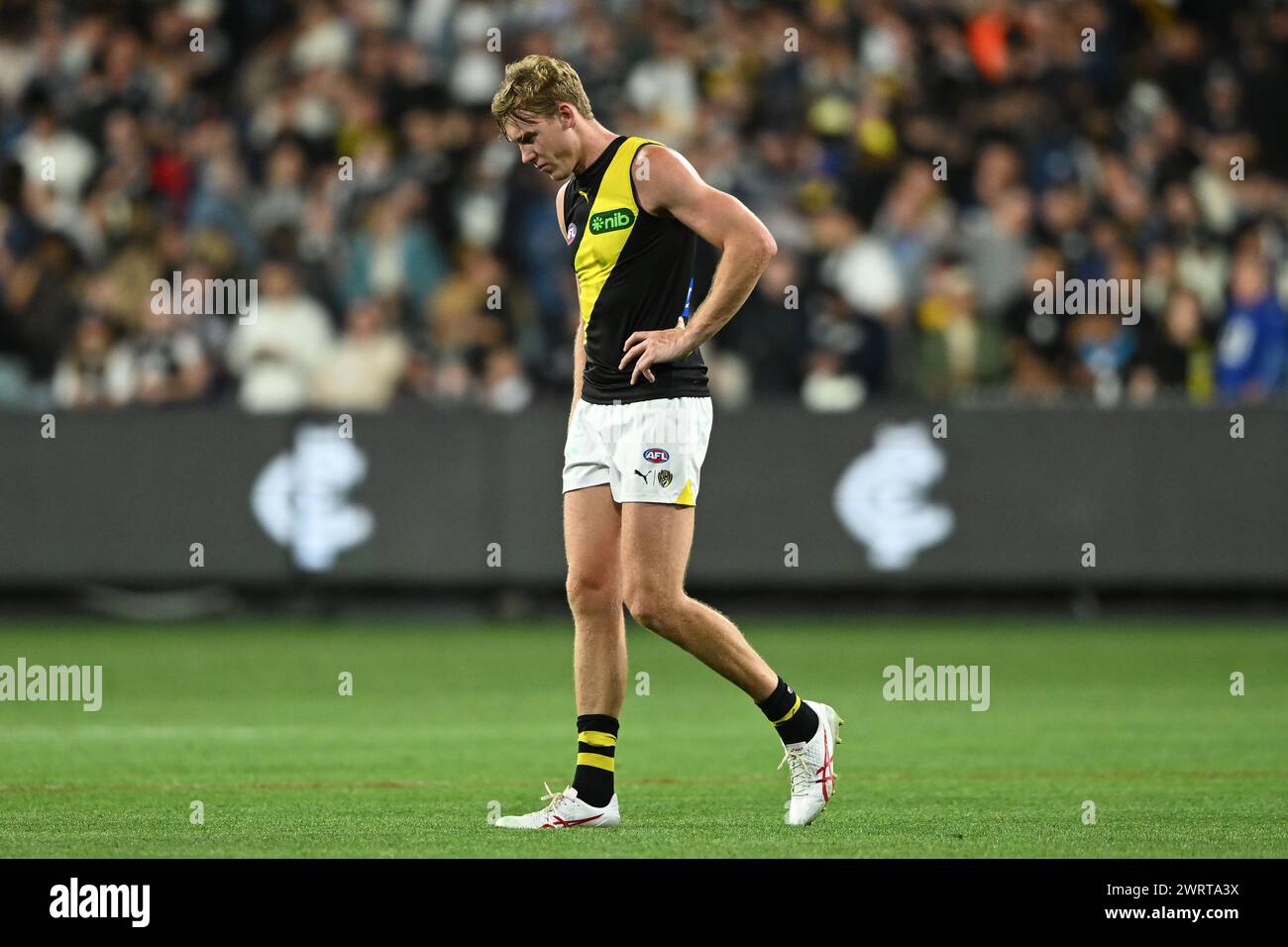 Melbourne, Australia. 14th Mar, 2024. Tom Lynch of Richmond is seen ...