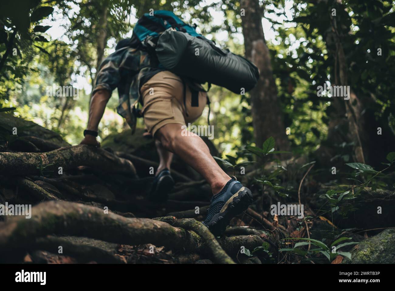 Hikers are rock climbing using their hands on the vines to climb to the ...