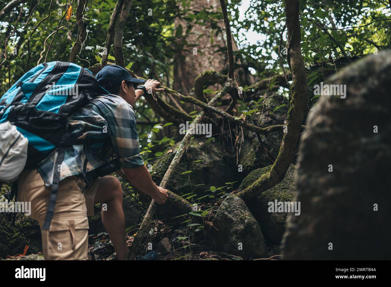 Hikers are rock climbing using their hands on the vines to climb to the ...