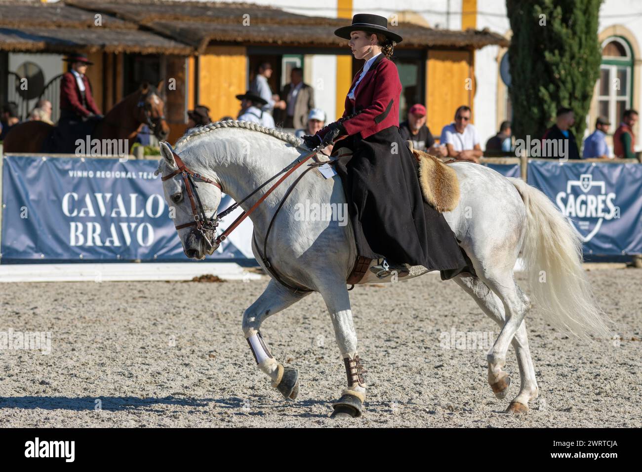 Portugal, Alentejo Region, Golega, Woman riding white Lusitano Horse ...