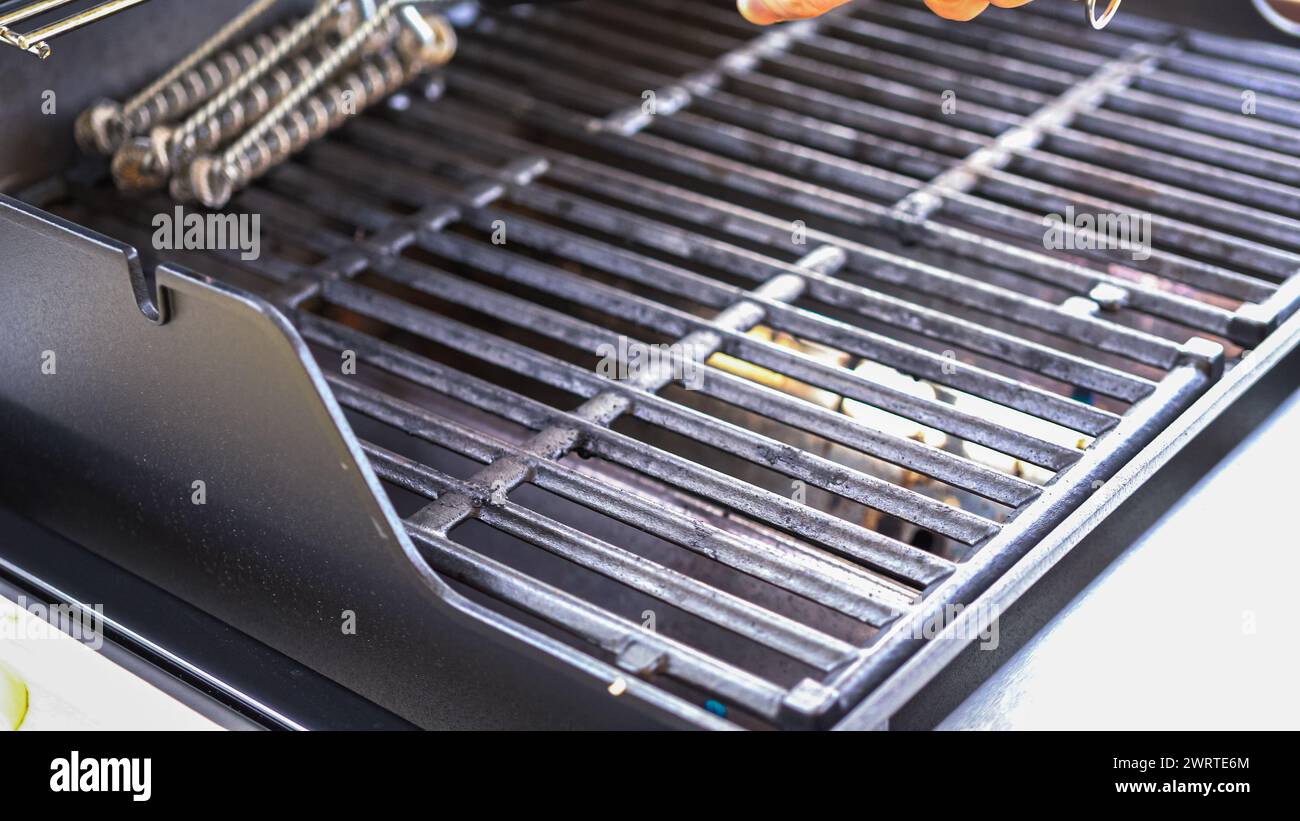 Outdoor Cooking. Grilling Dinner on Two-Burner Gas Grill Stock Photo ...