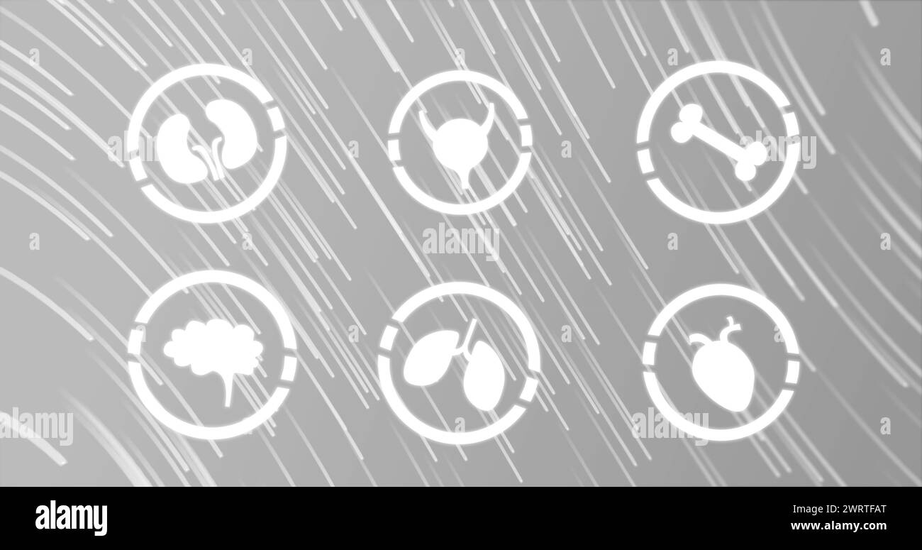 Image of human body icons over grey background with lines Stock Photo ...