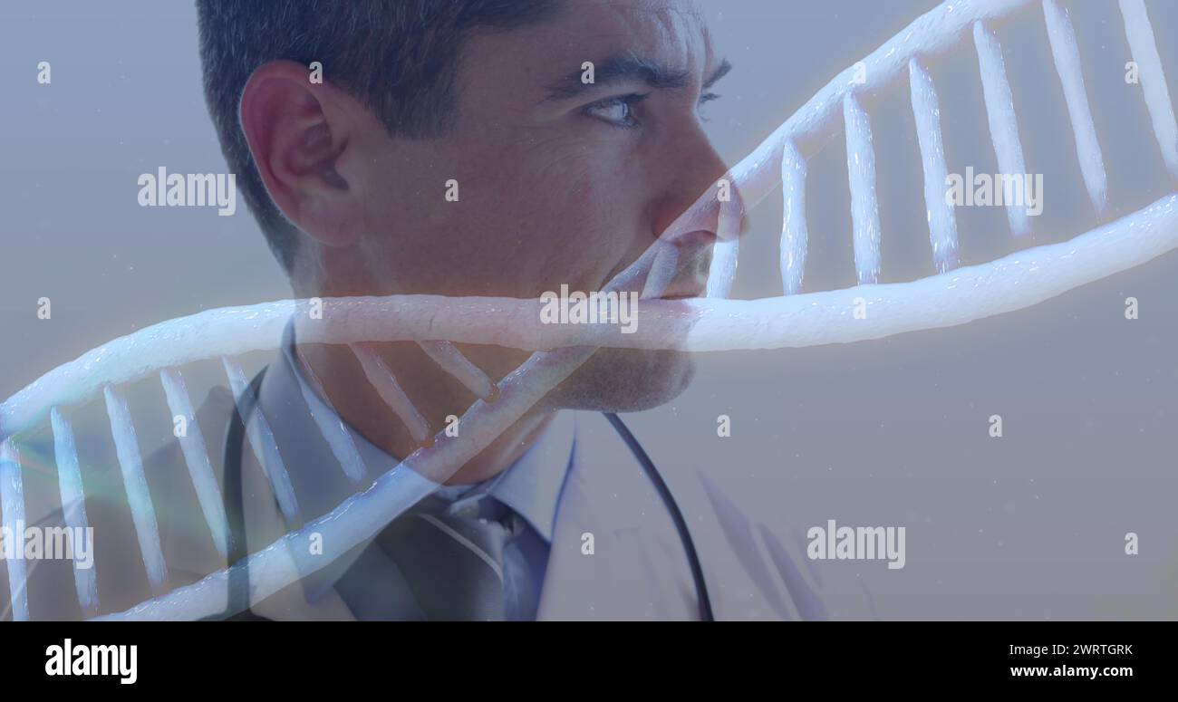 Image of DNA strand spinning over portrait of male doctor wearing lab ...