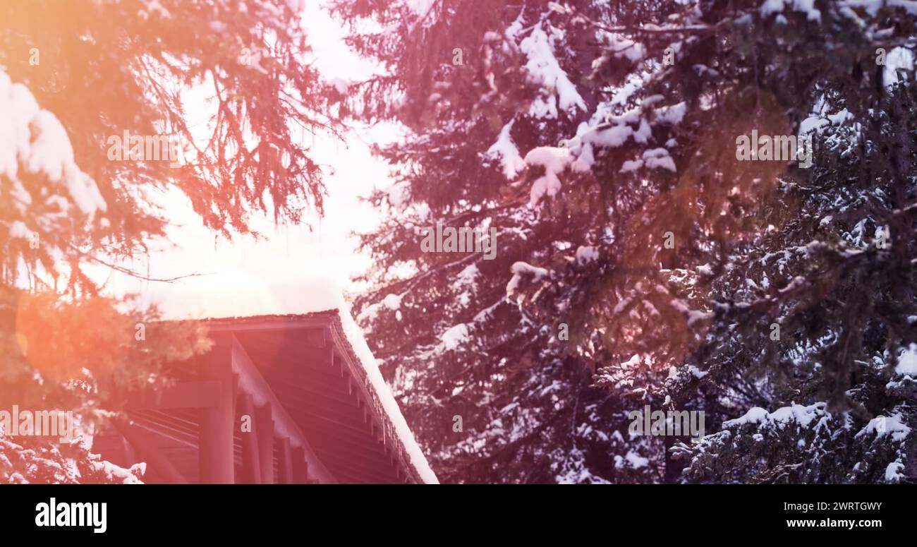 Spot of light over snow covered trees and house on winter landscape ...