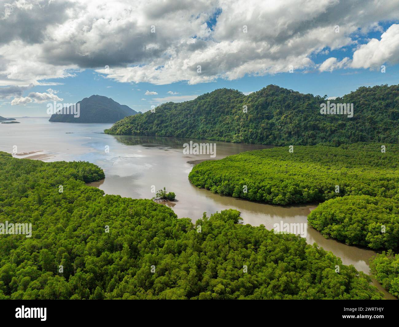 Philippines palawan mangroves forest hi-res stock photography and ...