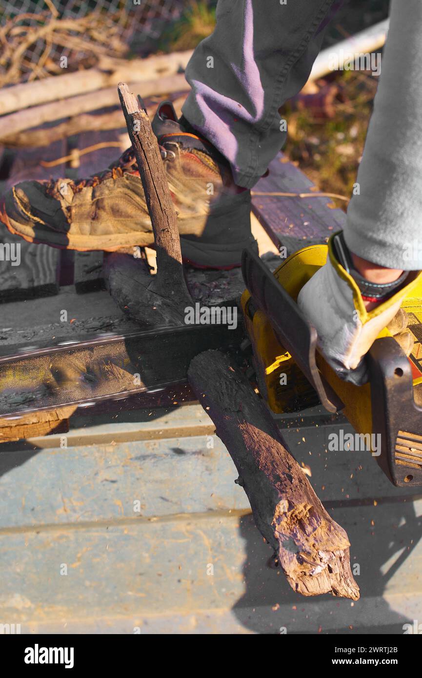 Worker cutting wood outdoors with chainsaw, focused and efficient Stock ...