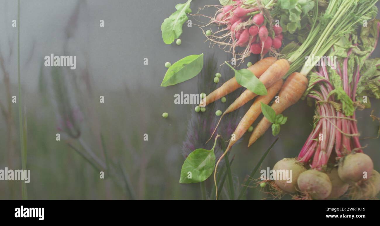 Image of table of vegetable over grass Stock Photo - Alamy