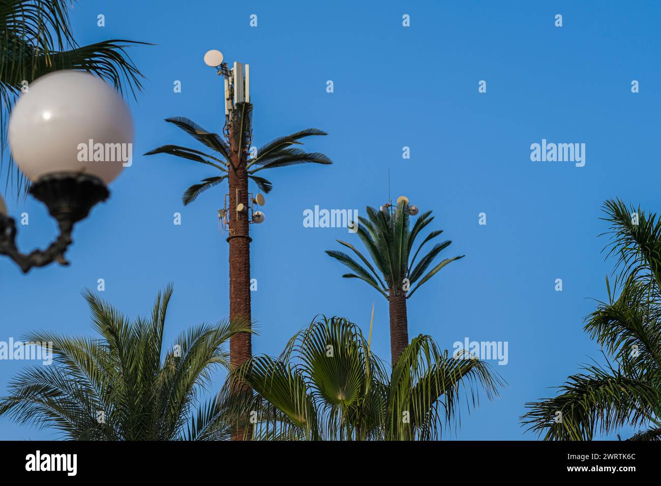 Radio antenna and palm tree hi-res stock photography and images - Alamy