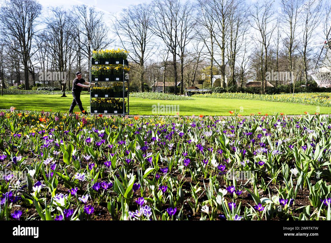 Keukenhof almost hi-res stock photography and images - Alamy