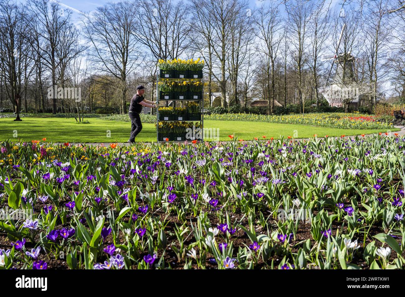 LISSE - A bed of flowers in De Keukenhof. The flower park is almost ...