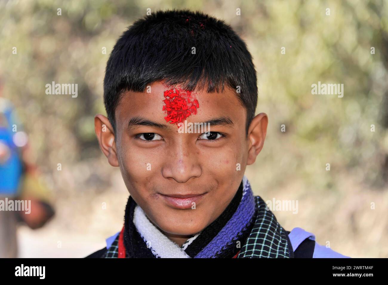 Mark on its forehead hi-res stock photography and images - Alamy
