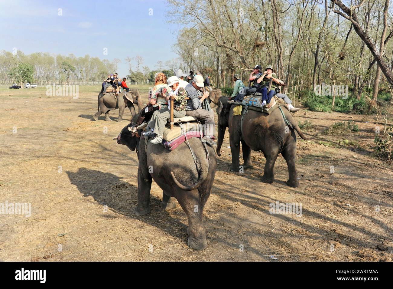 Four riding elephants hi-res stock photography and images - Alamy