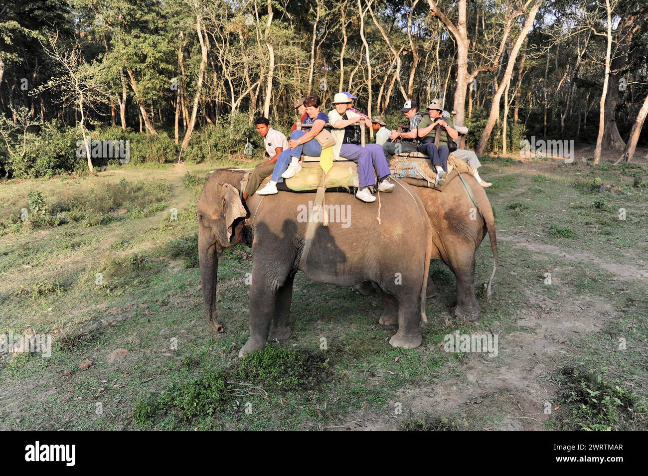 A group of riders explore the forest surroundings on an elephant, Chitwan National Park, Nepal ...