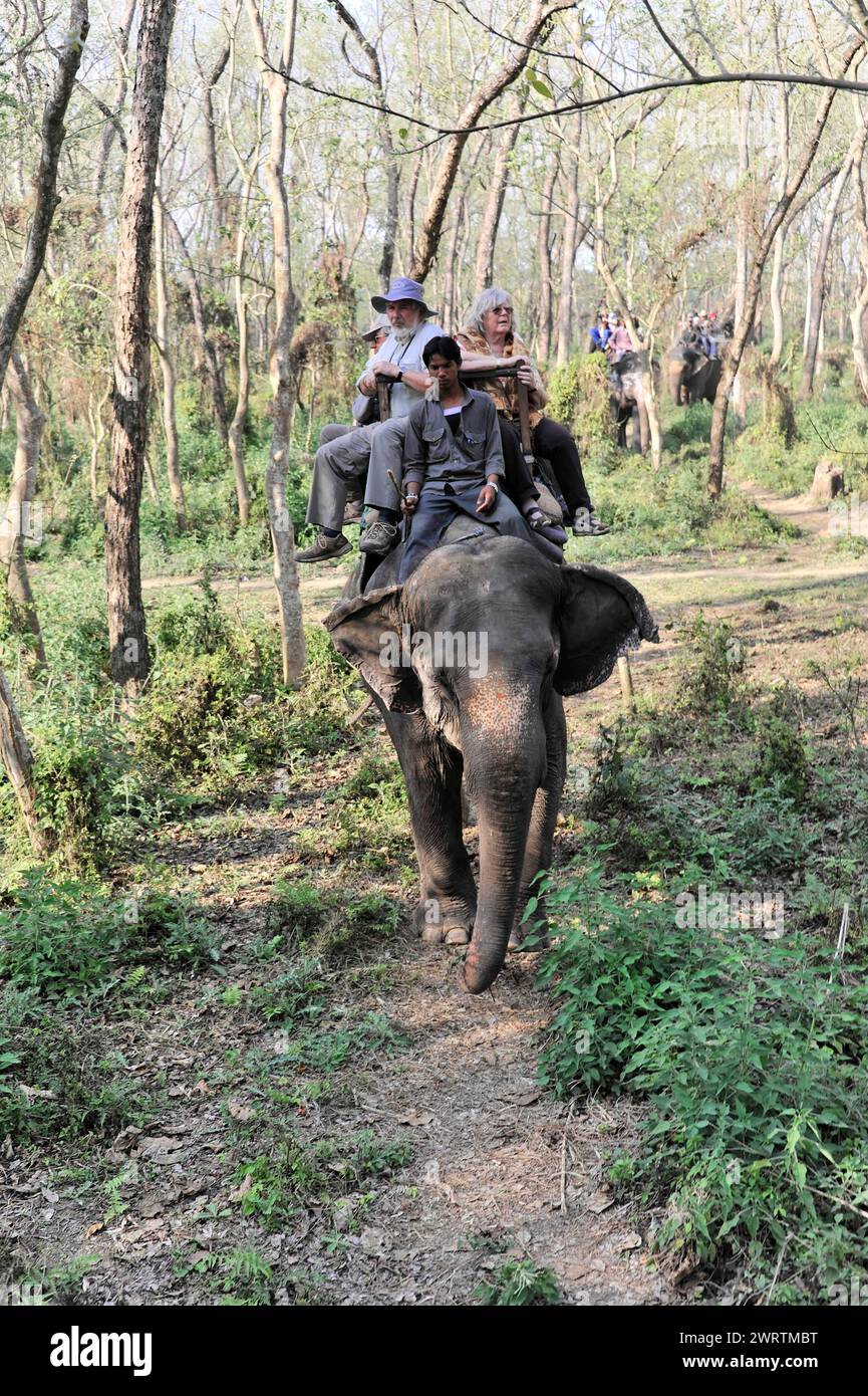 A group of tourists experience an elephant ride in the jungle, Chitwan National Park, Nepal ...