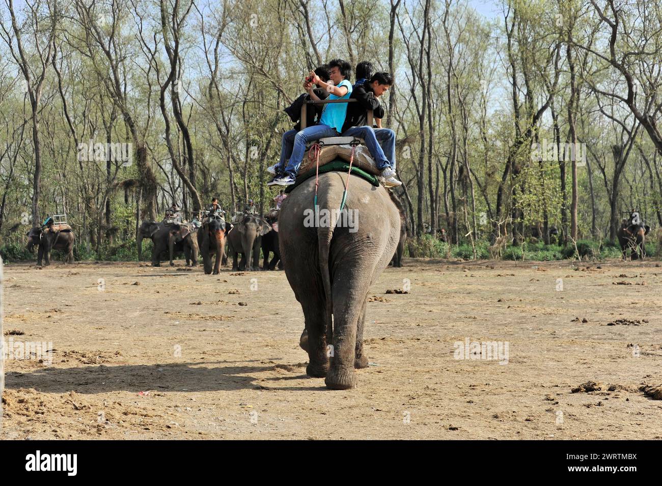 On the back of the elephant hi-res stock photography and images - Alamy