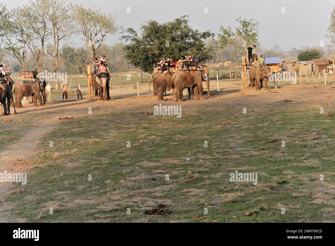 A line of riders on elephants follows a dusty path at dusk, Chitwan ...