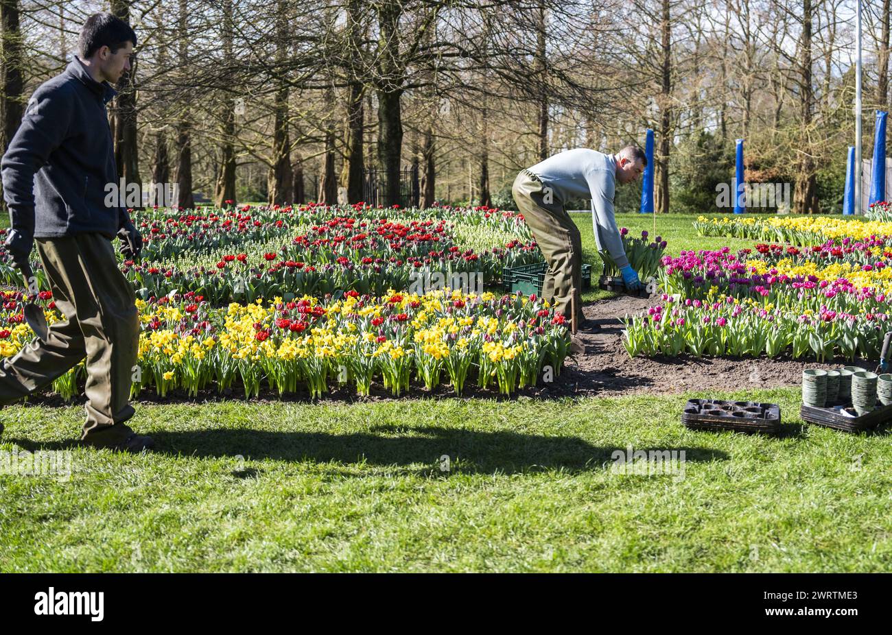 LISSE - A bed of flowers in De Keukenhof. The flower park is almost ...