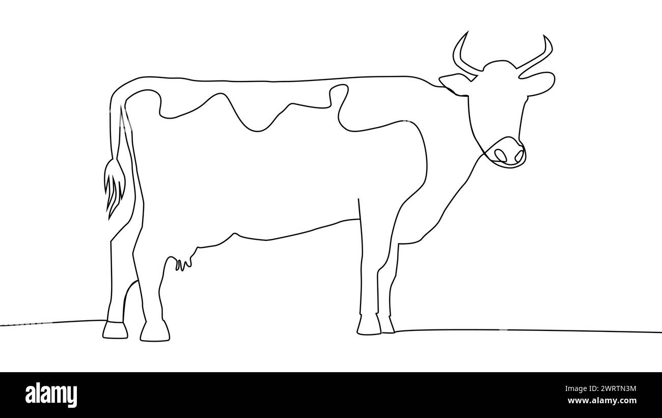 Cow. Self-drawing a simple of one continuous drawing of one line Stock ...