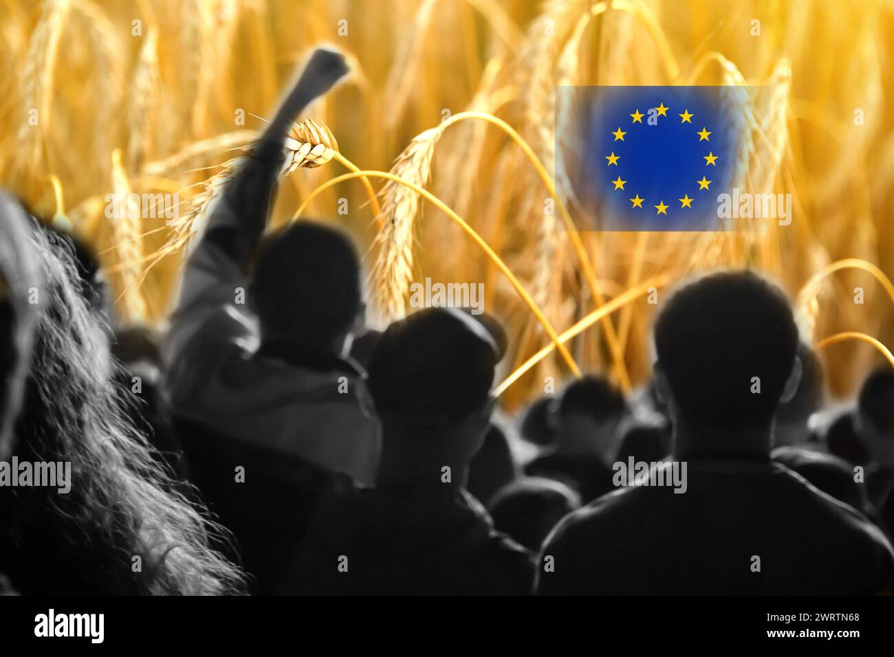 Farmers protest in Europe. EU flag, wheat and people background Stock ...
