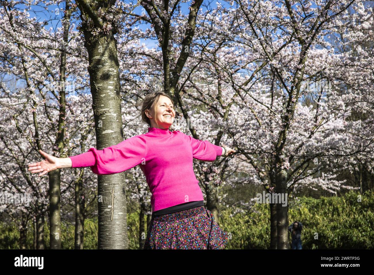 Three cherry trees of japan hi-res stock photography and images - Alamy