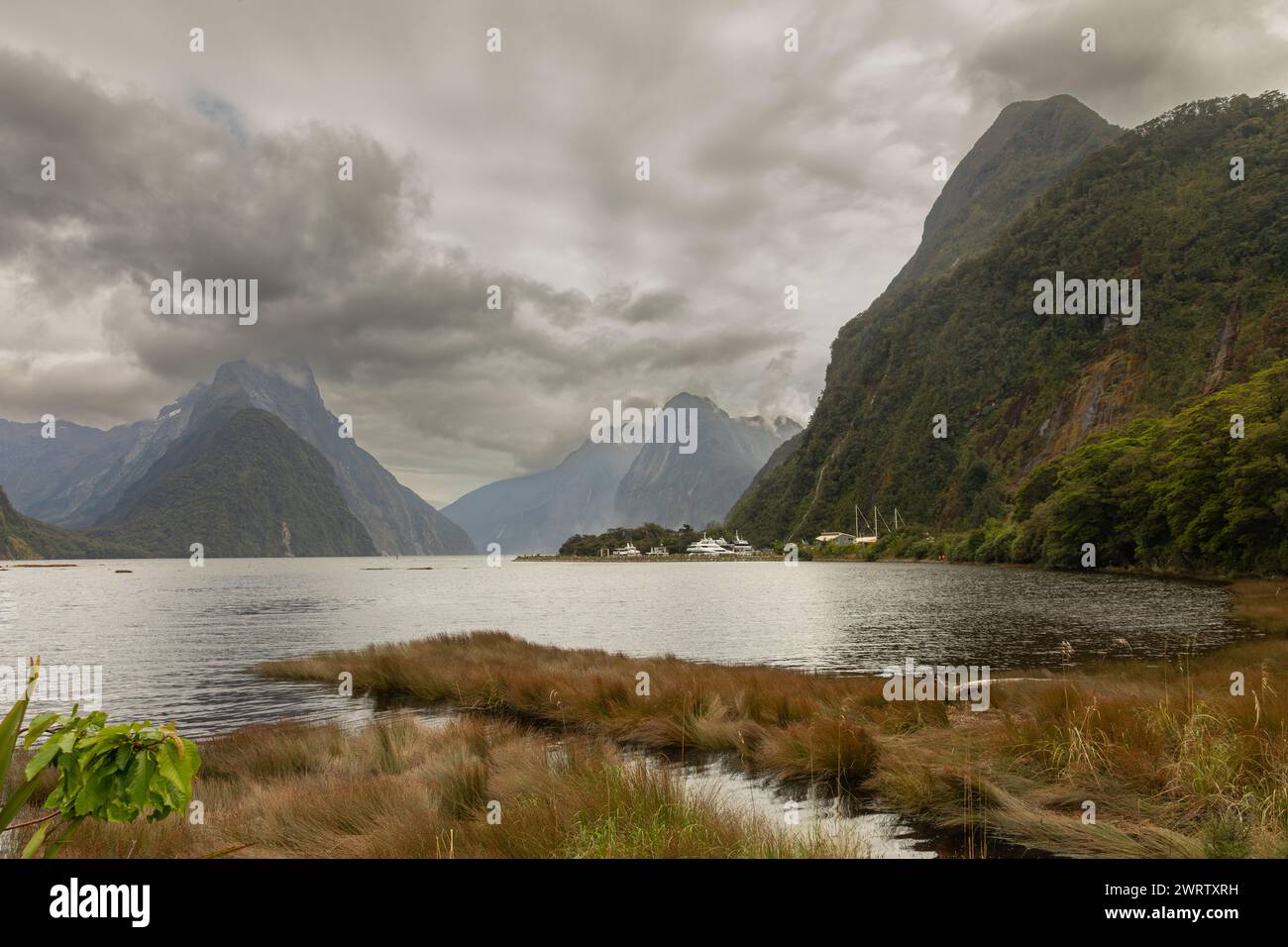 The spectacular Milford Sound, one of the wettest places on the planet ...