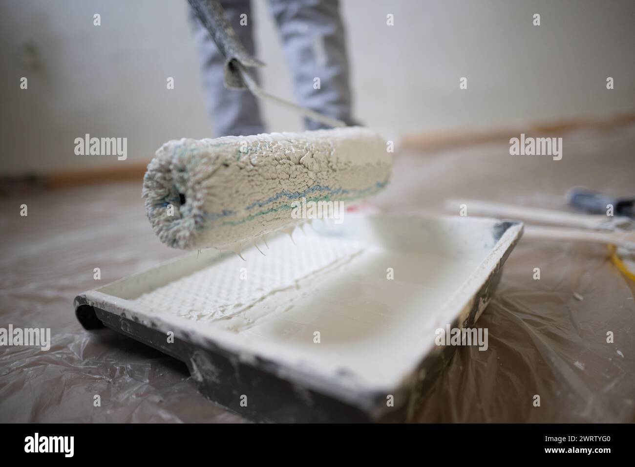 Berlin, Germany. 18th Feb, 2024. A woman picks up white paint to paint ...