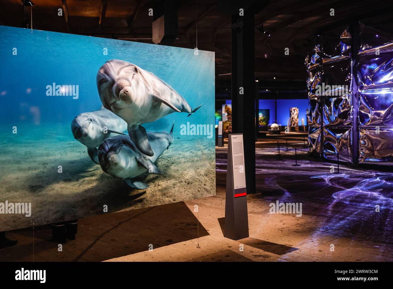 Oberhausen, Germany. 14th Mar, 2024. General view. 'Planet Ozean ...