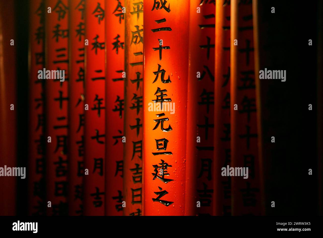 Night view of the Fushimi Inari-Taisha, the main Shinto shrine ...