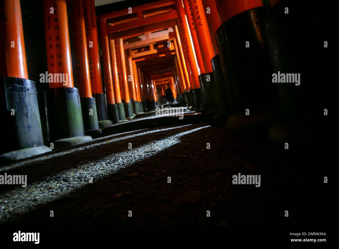 Night view of the Fushimi Inari-Taisha, the main Shinto shrine ...