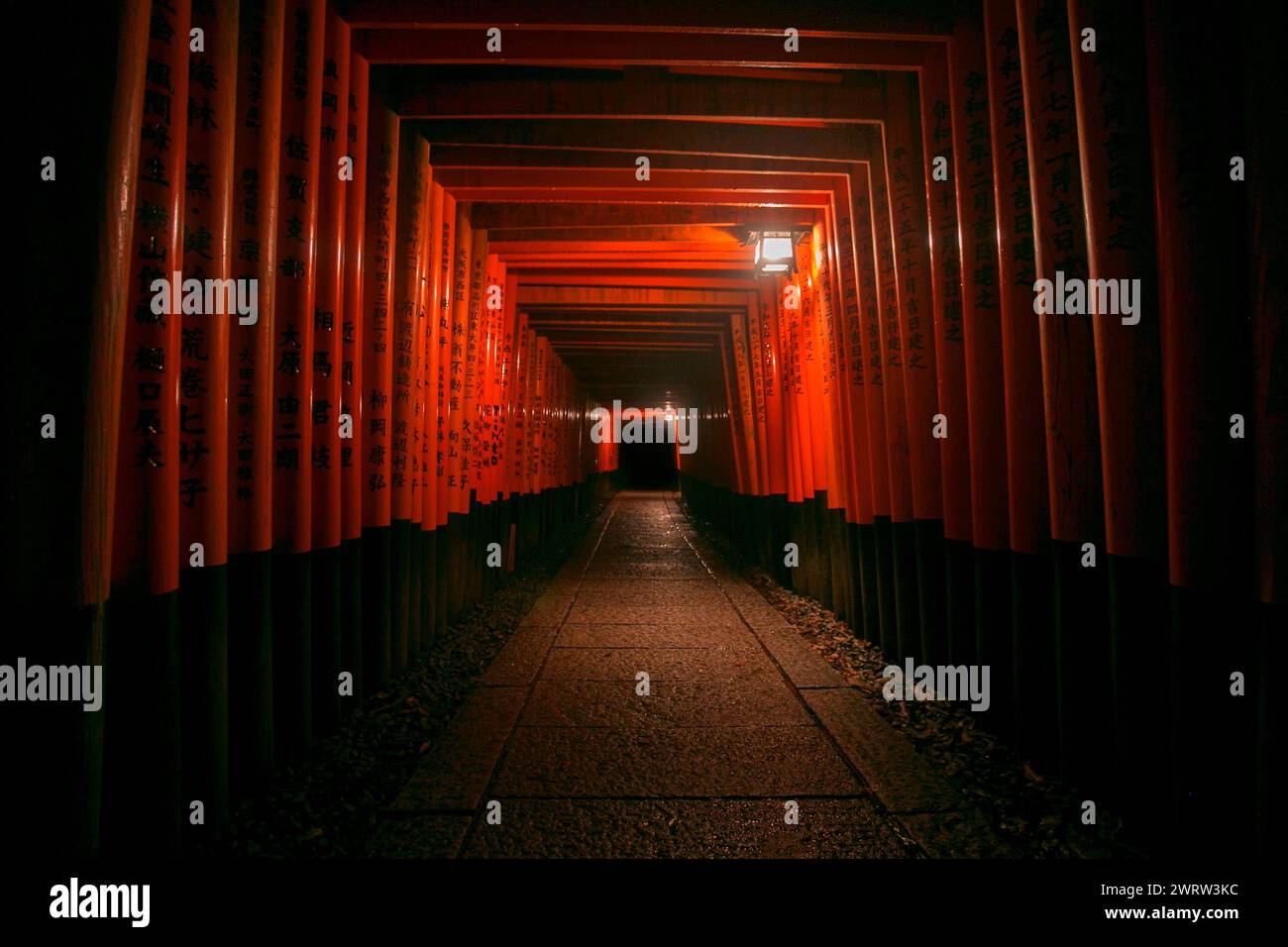 Night view of the Fushimi Inari-Taisha, the main Shinto shrine ...