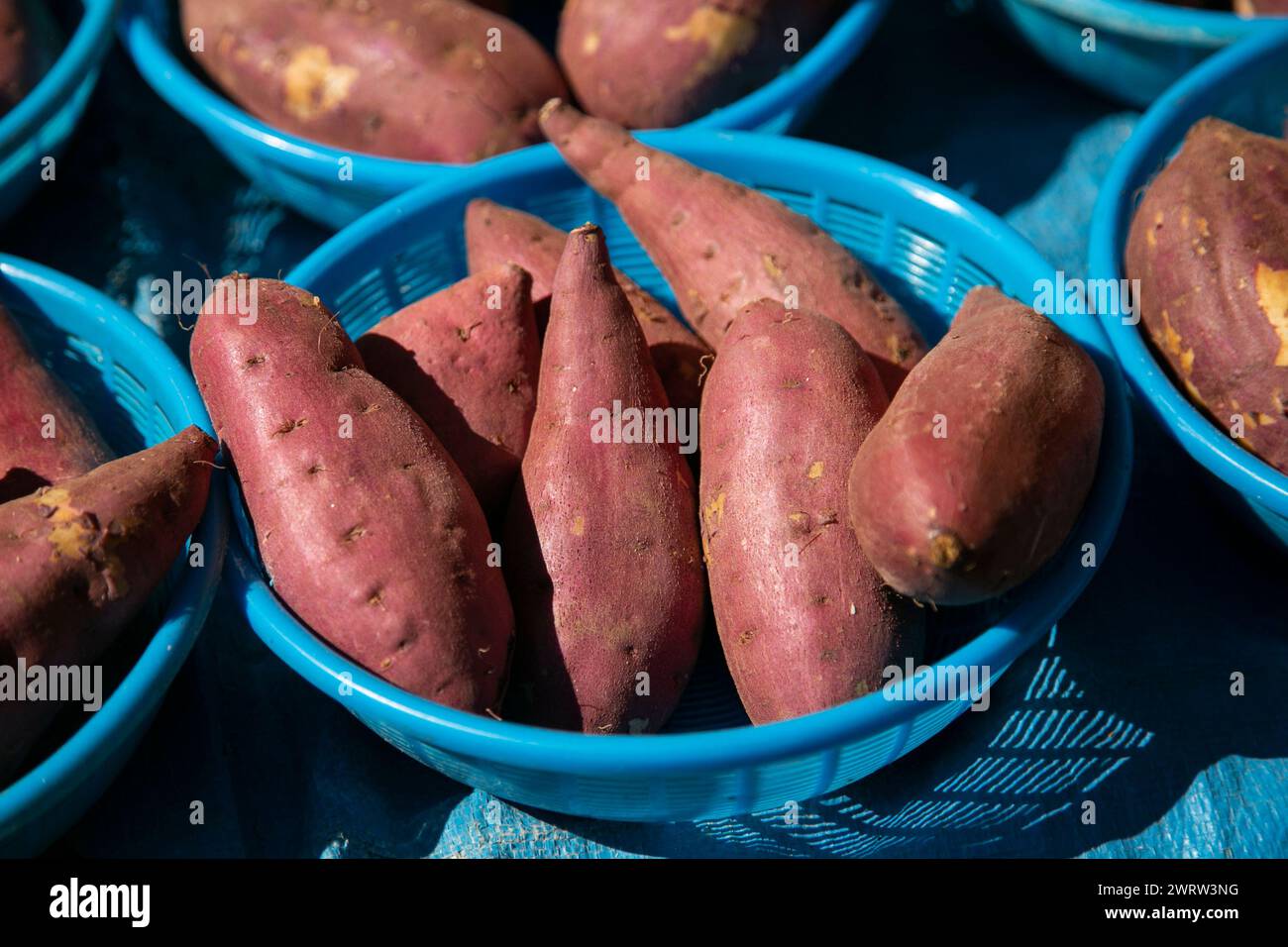 Japanese Sweet Potatoes (Yaki Imo) in a street food stall in Kyoto ...