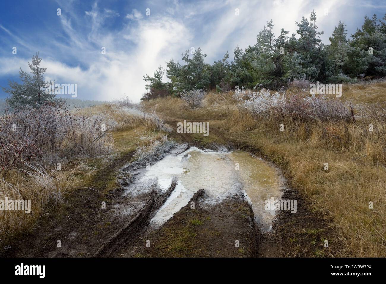 Frozen puddle in forest hi-res stock photography and images - Alamy