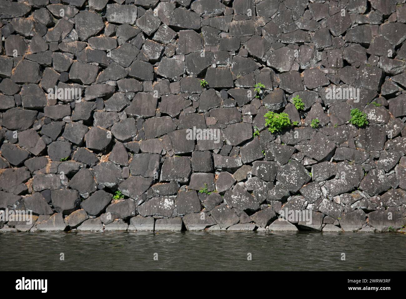 In the Japanese Imperial Palace in Tokyo, Japan, massive stone walls ...