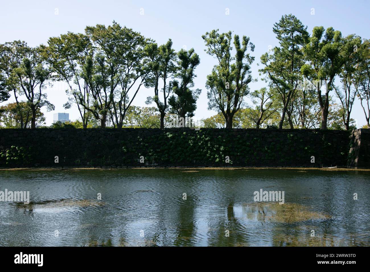 In the Japanese Imperial Palace in Tokyo, Japan, massive stone walls ...