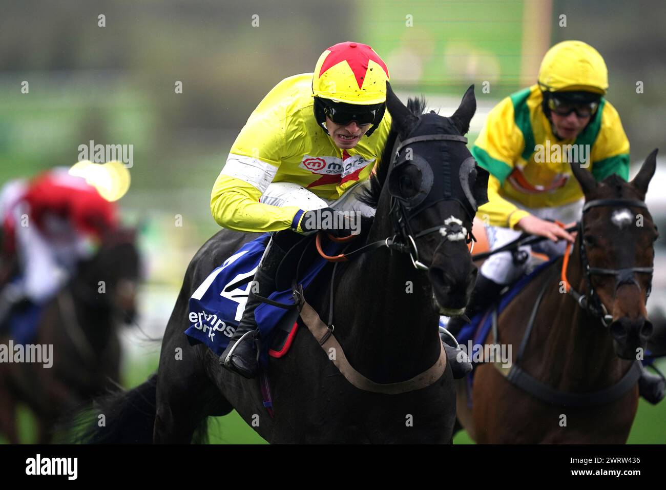 Harry cobden 2024 hi-res stock photography and images - Alamy