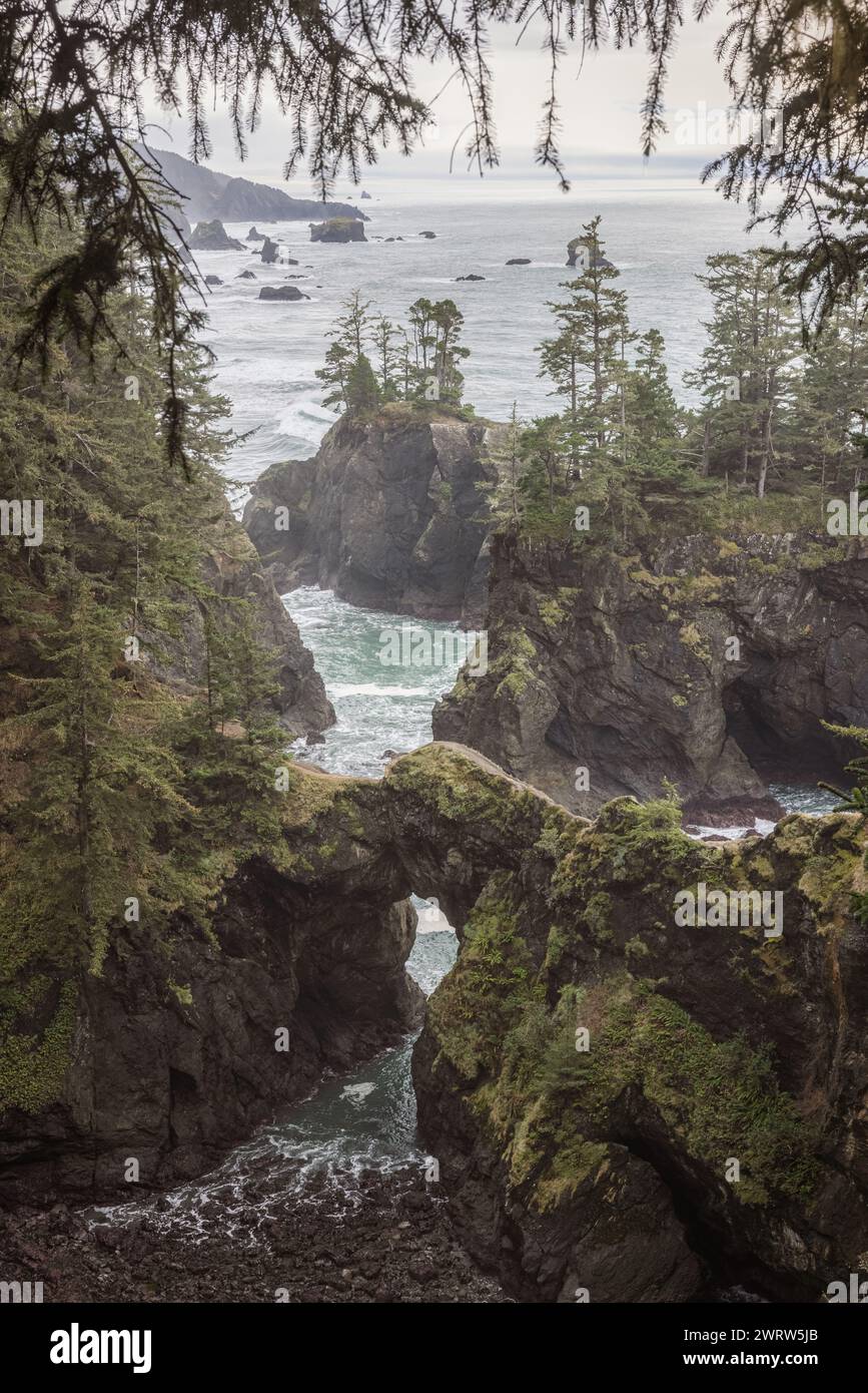 In the Samuel H Boardman Scenic Corridor in southern Oregon, Natural ...
