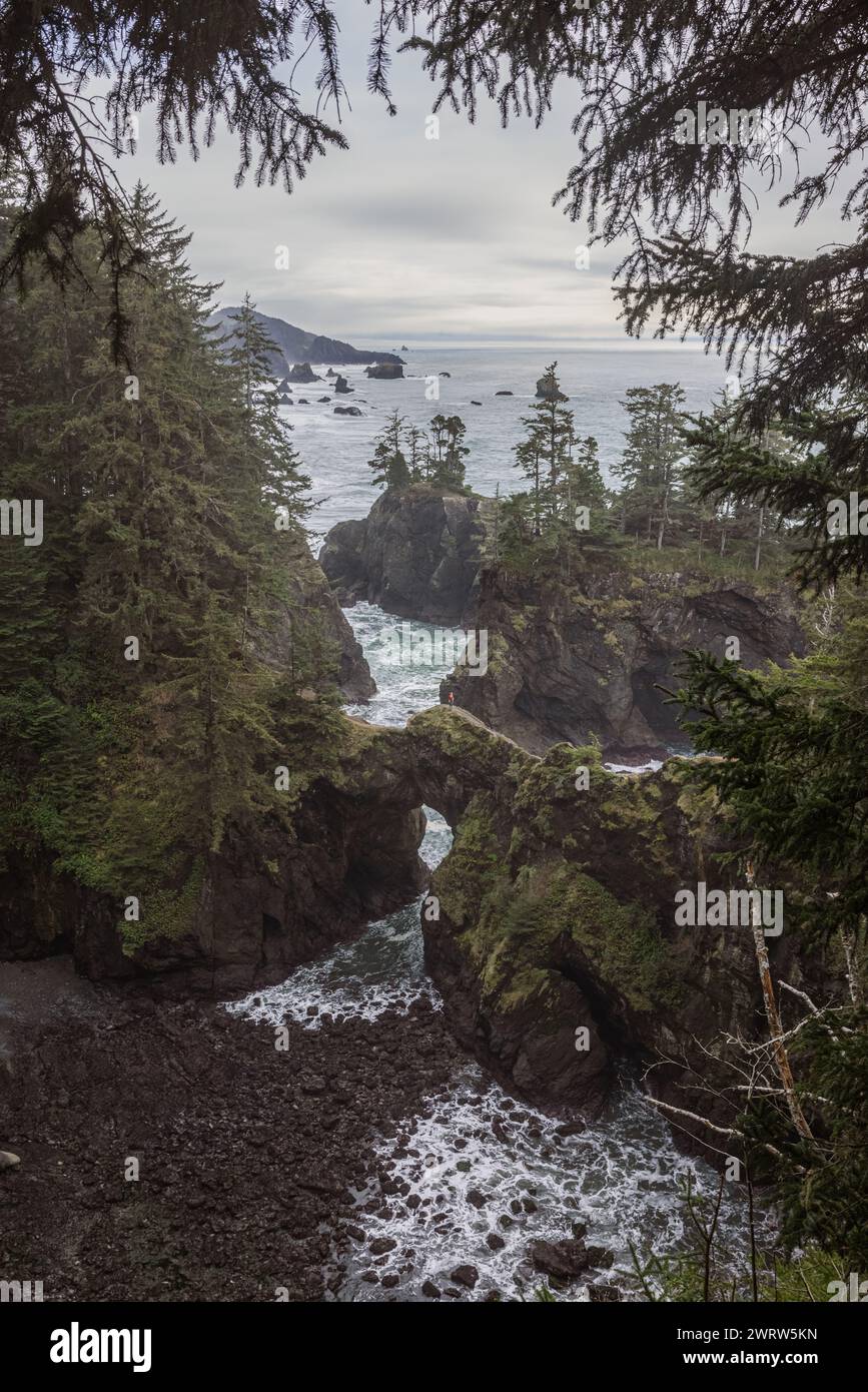 In the Samuel H Boardman Scenic Corridor in southern Oregon, Natural ...