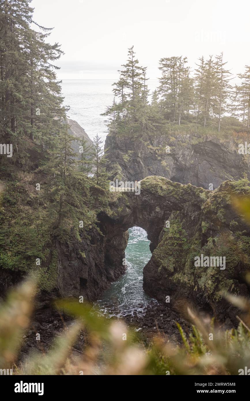 In the Samuel H Boardman Scenic Corridor in southern Oregon, Natural ...