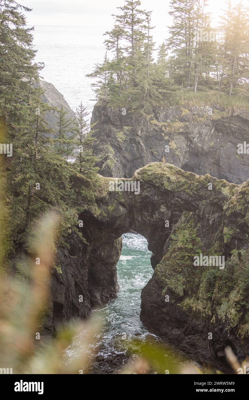 In the Samuel H Boardman Scenic Corridor in southern Oregon, Natural ...