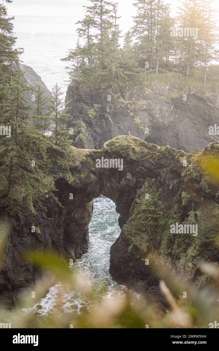 In the Samuel H Boardman Scenic Corridor in southern Oregon, Natural ...