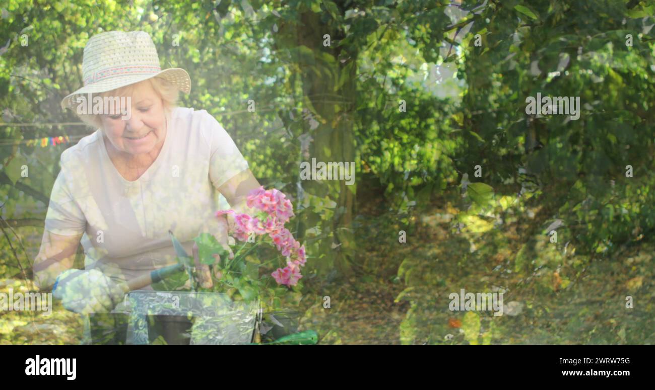 Composite image of tress in the forest against caucasian senior woman ...