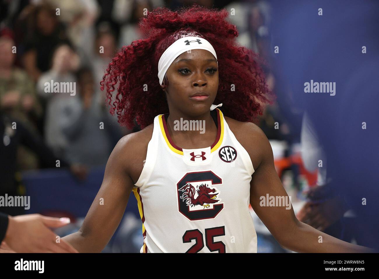 GREENVILLE, SC - MARCH 09: South Carolina Gamecocks guard Raven Johnson ...
