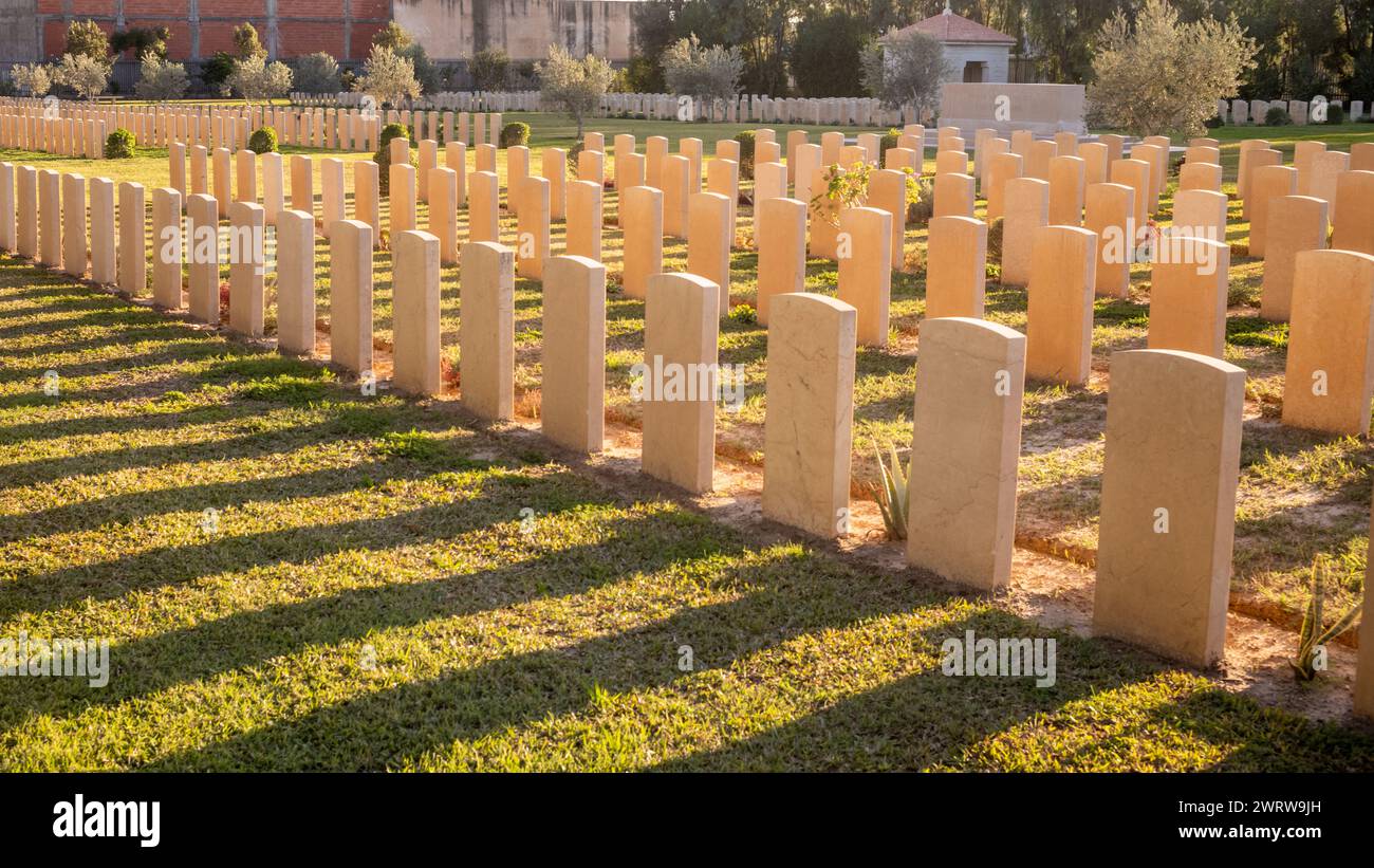 North african campaign hi-res stock photography and images - Alamy