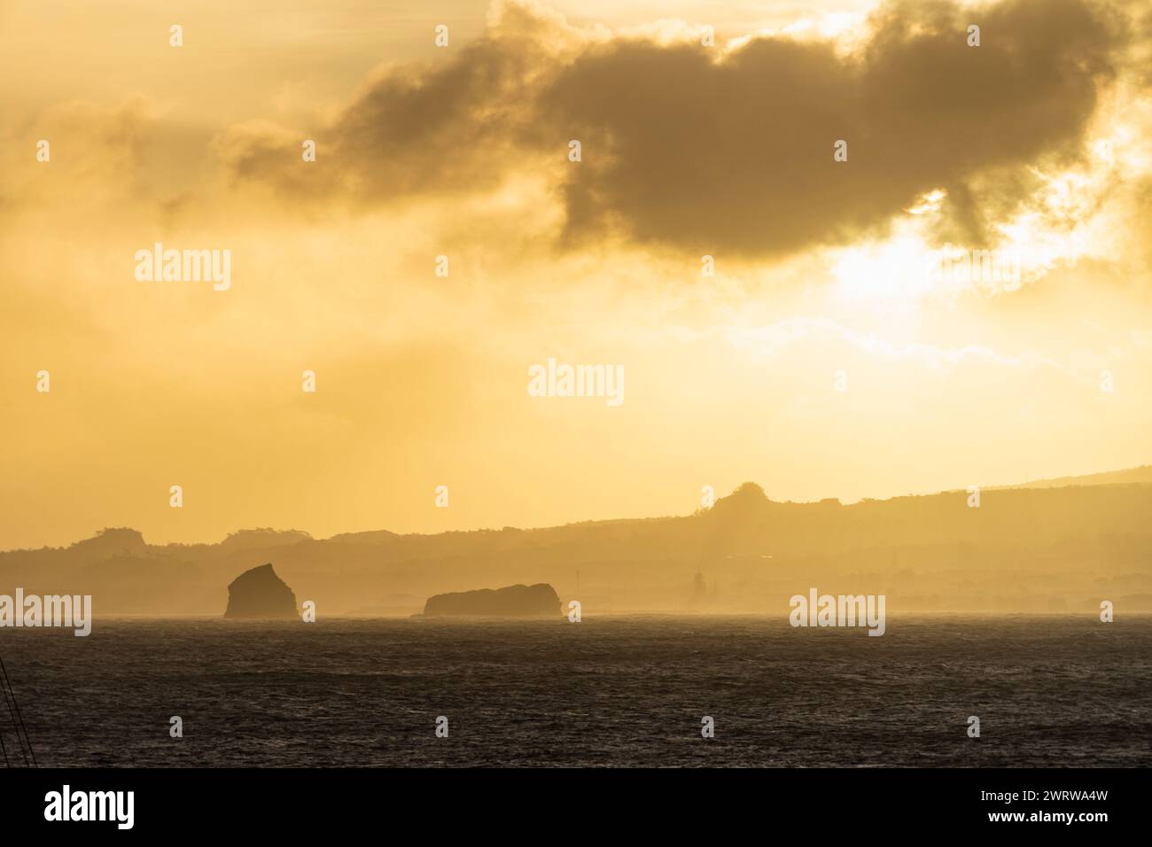 Azores orange hi-res stock photography and images - Alamy