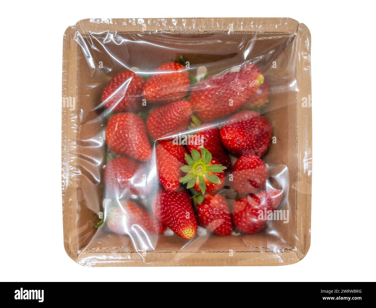 Strawberries packed in cardboard tray sealed with plastic film, top ...