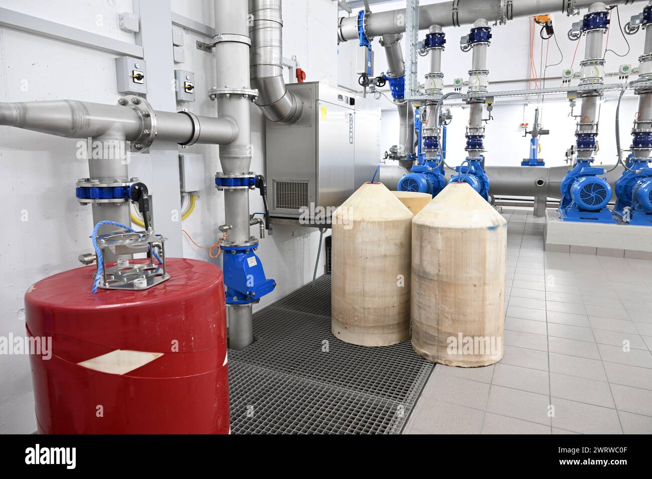 Kesswil, Switzerland. 12th Mar, 2024. Various newts stand next to the ...