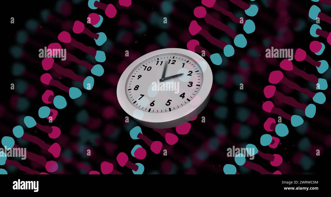 Image of clock moving over dna strands on black background Stock Photo ...