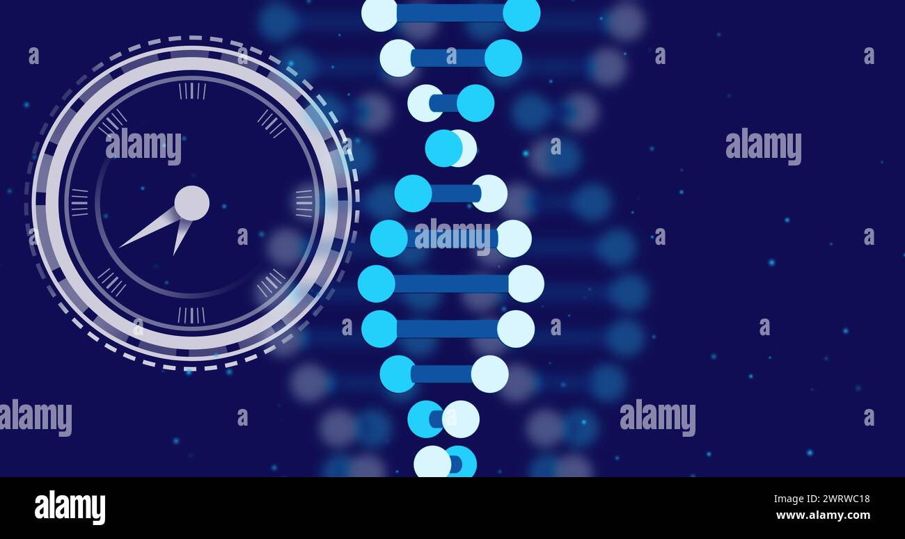 Image of clock moving over dna strands on blue background Stock Photo ...
