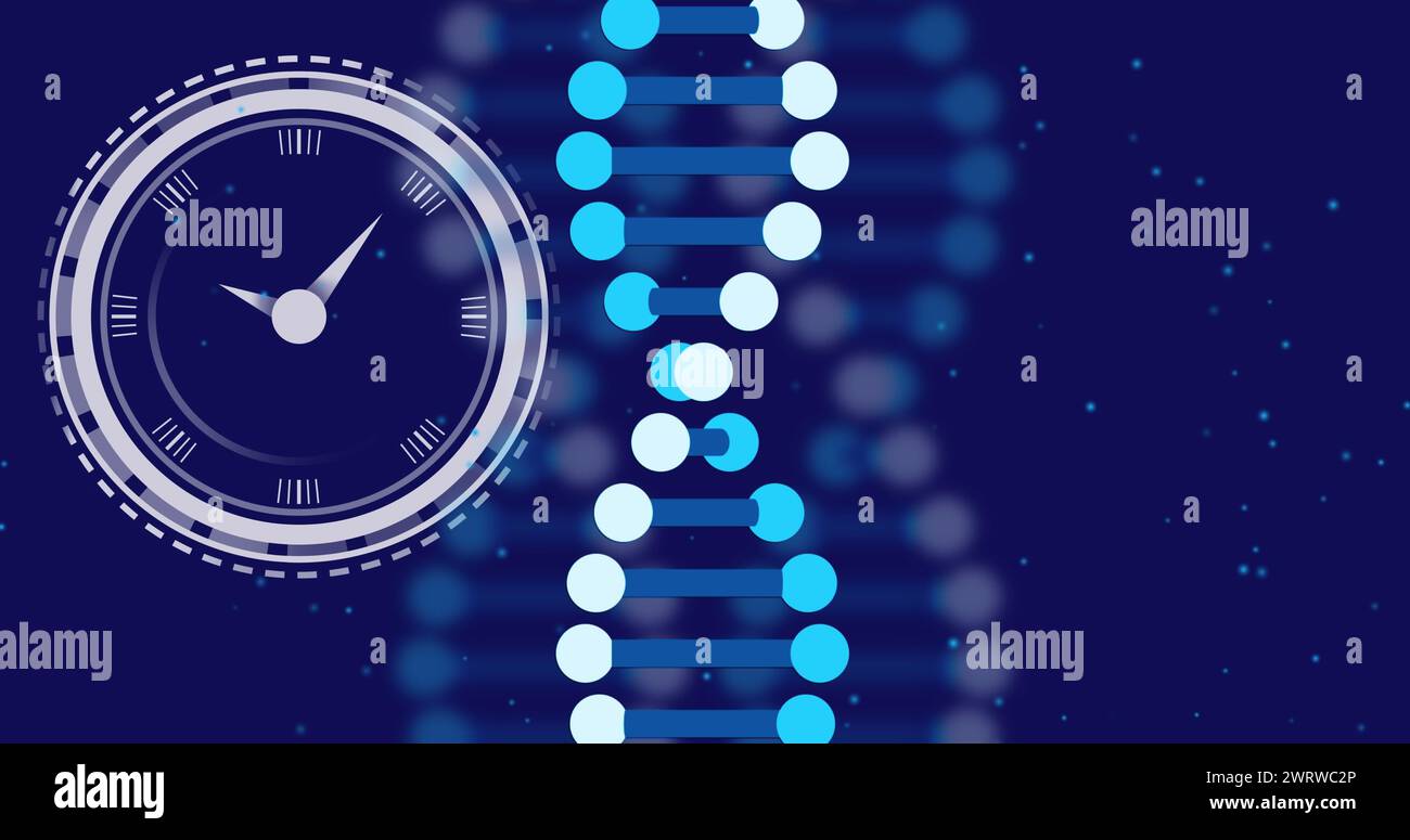 Image of clock moving over dna strands on blue background Stock Photo ...