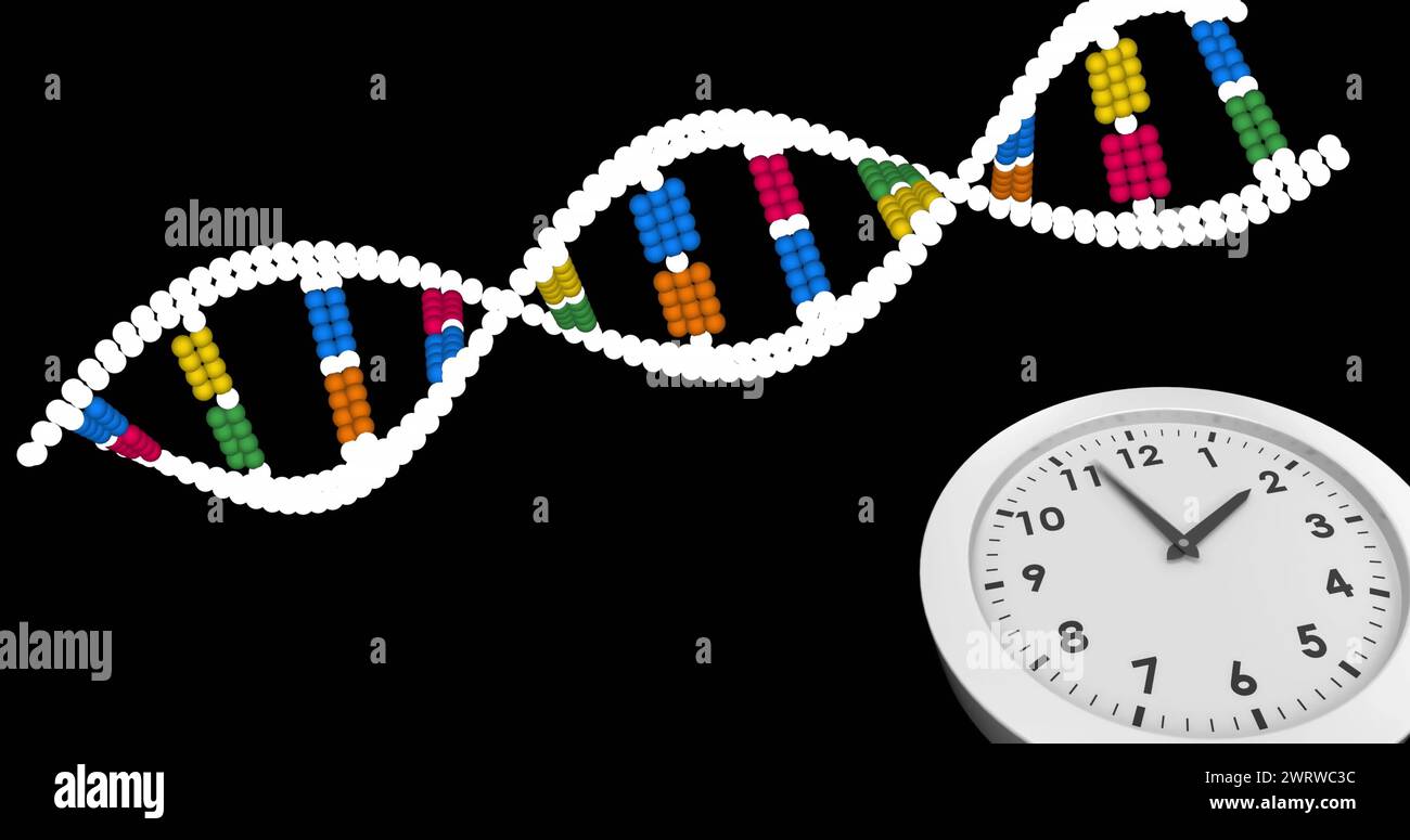 Image of clock moving over dna strand on black background Stock Photo ...